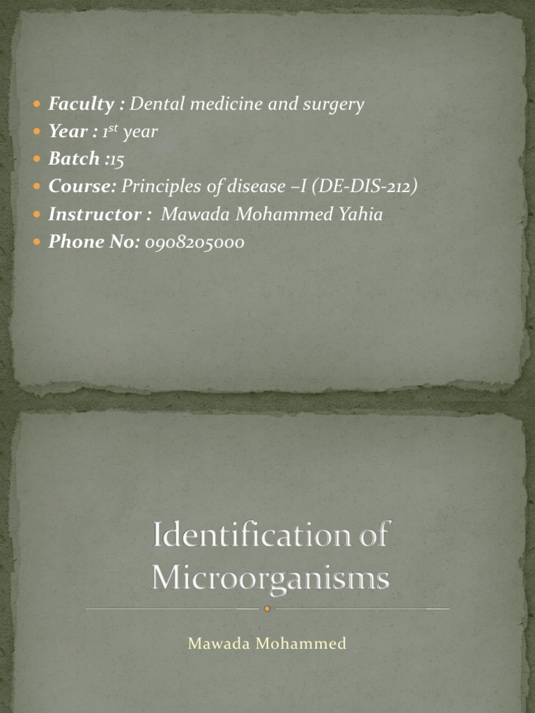 L11 Bacterial Identification Pdf Microorganism Biology