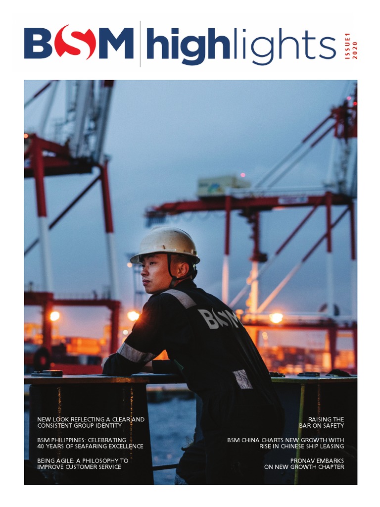 BSM PDF | PDF | Fuel Oil