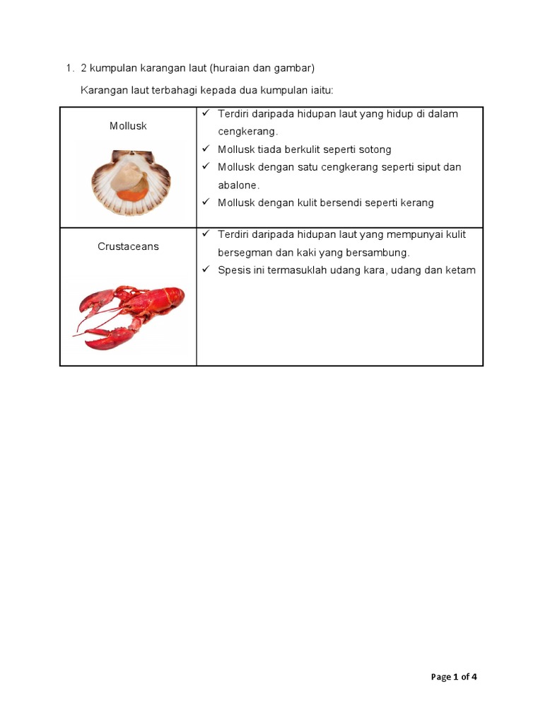 Assigment Modul 4 Prepare Seafood Dishes Chef Iylia | PDF
