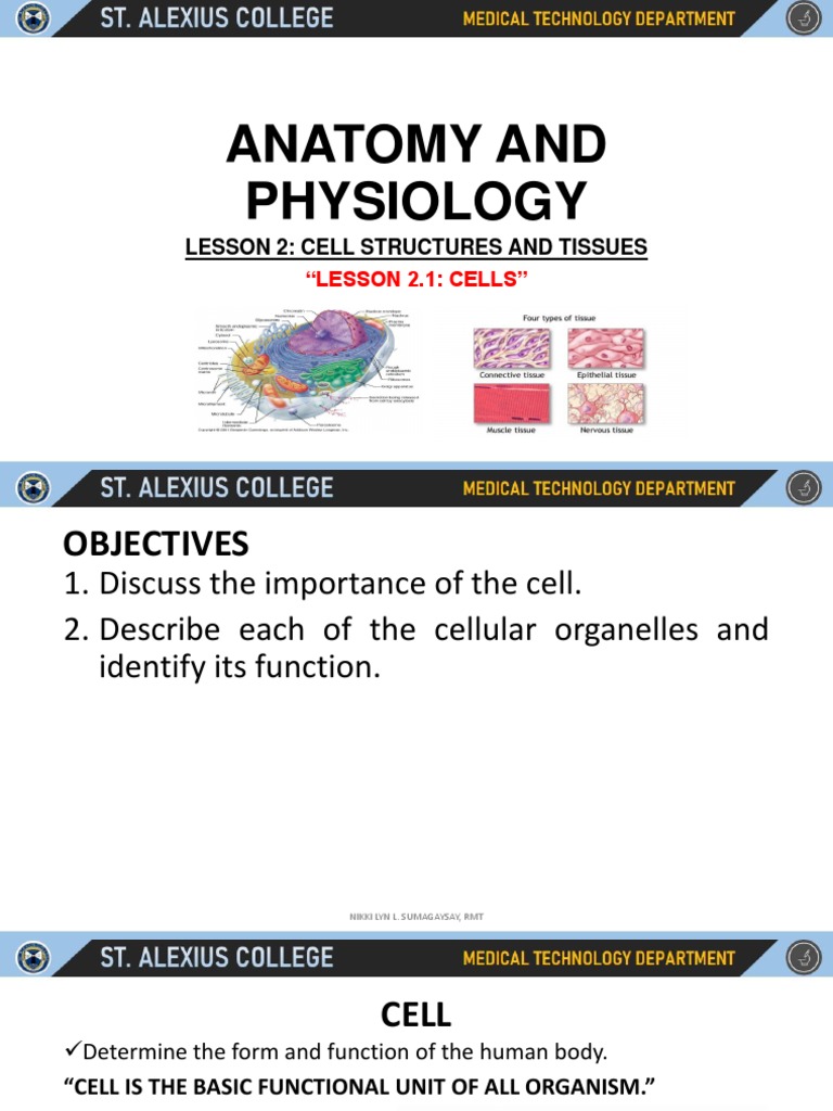 Cell Structures and Functions Overview | PDF | Mitosis | Cell (Biology)