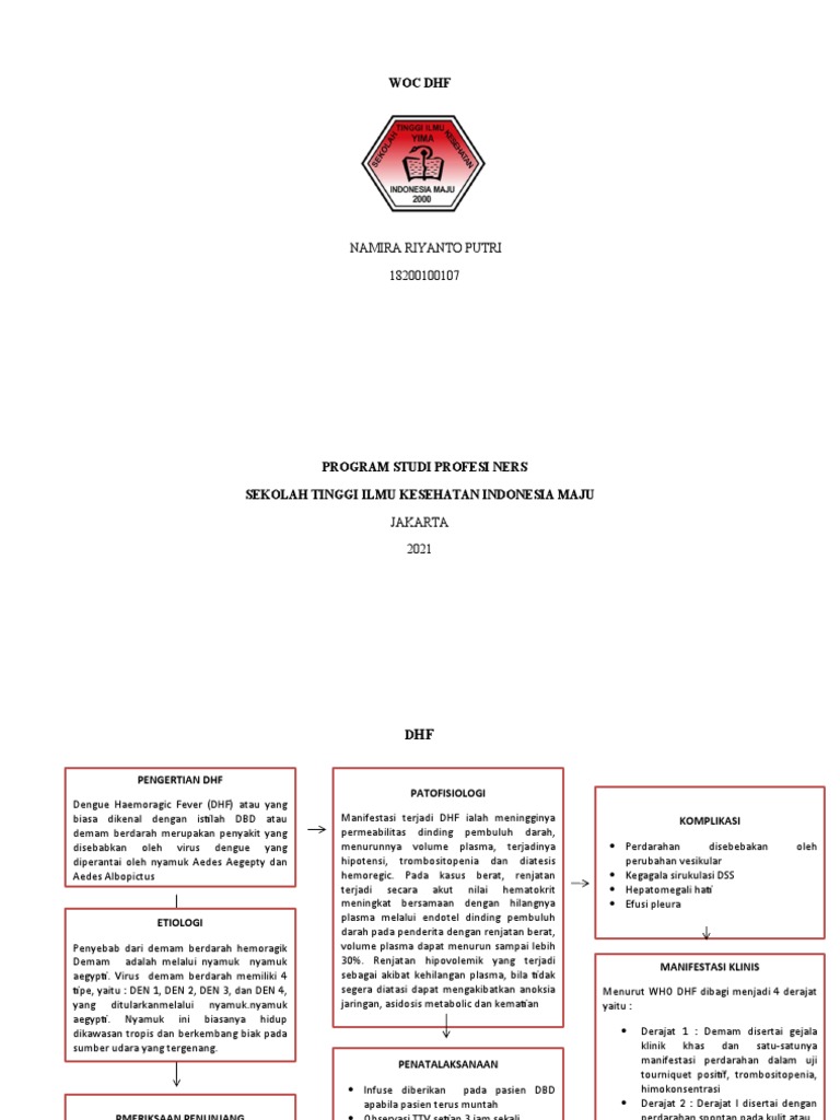 WOC DHF (Stase Kep Anak) | PDF