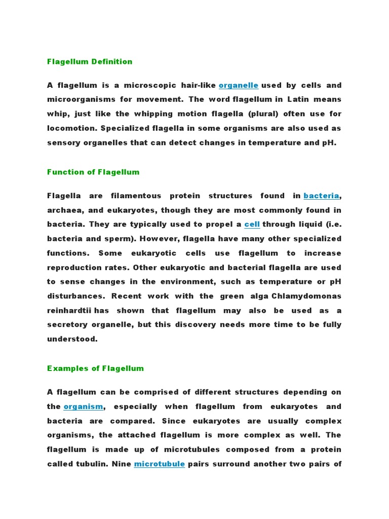Organelle: Flagellum Definition | PDF | Cell (Biology) | Bacteria