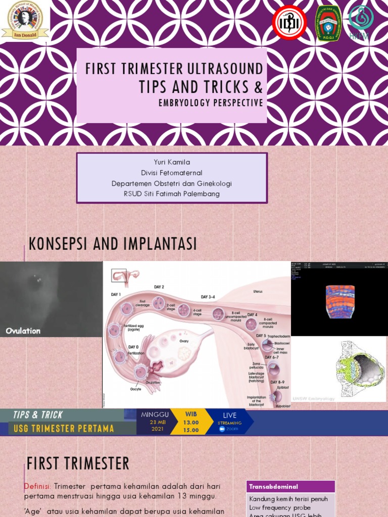 First Trimester Ultrasound, An Embryology Perspective | PDF