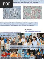 Video Recap of Meiosis by Amoeba Sisters Updated Pictures | PDF | Meiosis | Chromosome