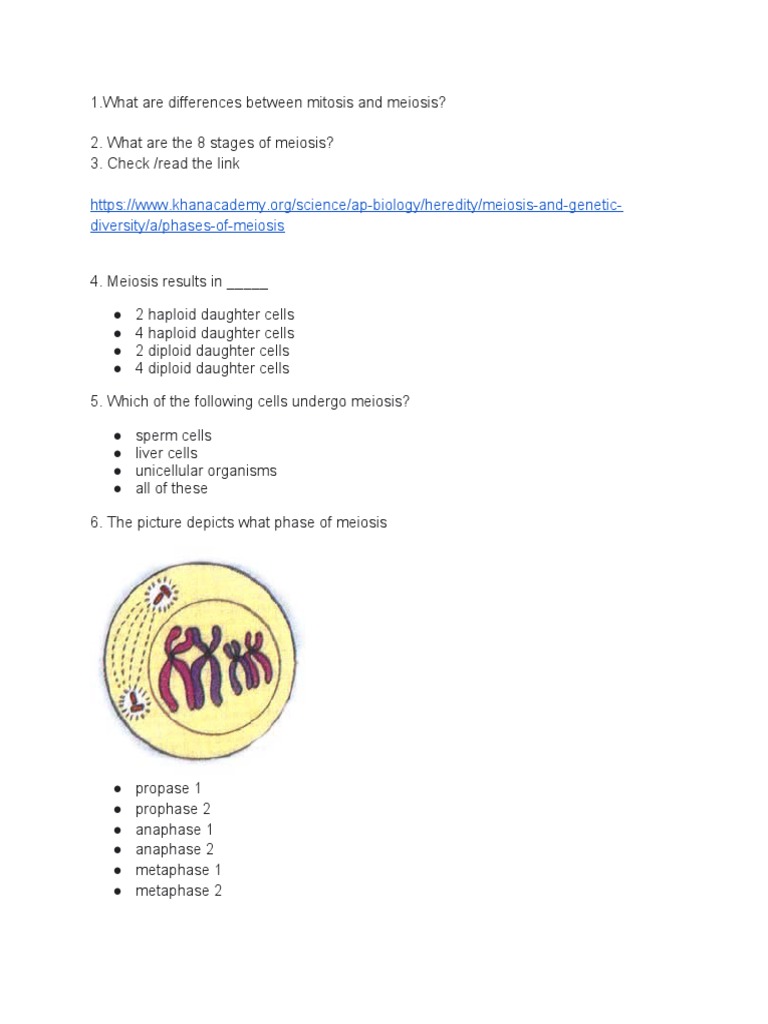 Test Meiosis | PDF