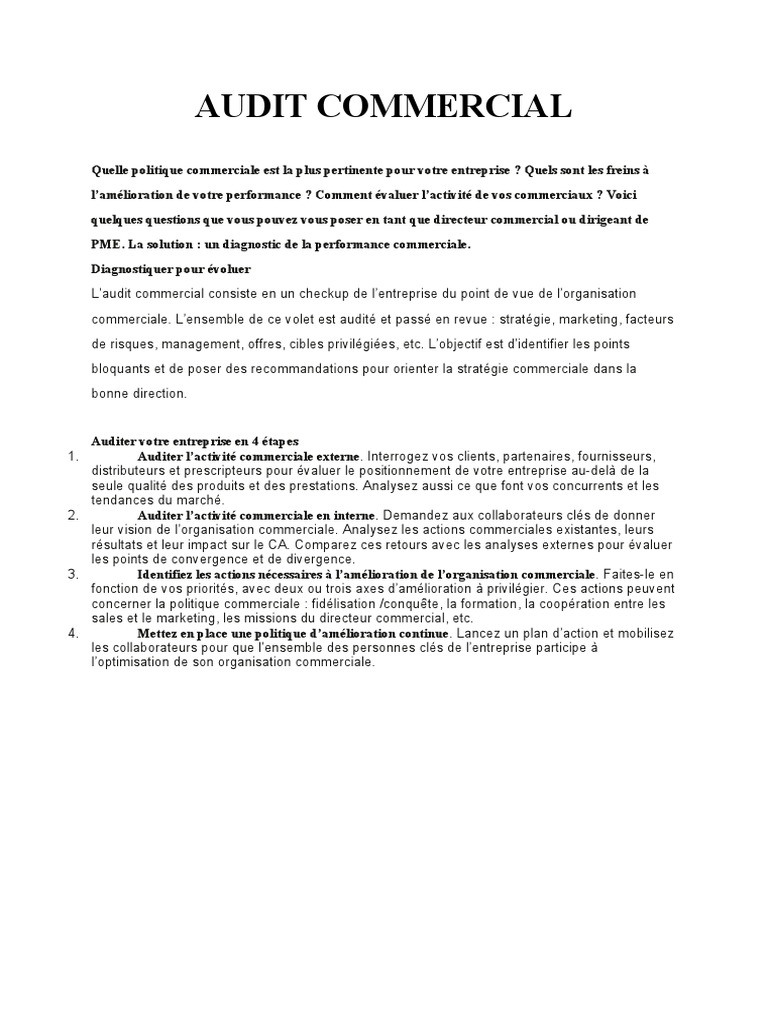 Audit Commercial : Diagnostic et Amélioration | PDF | Gestion ...