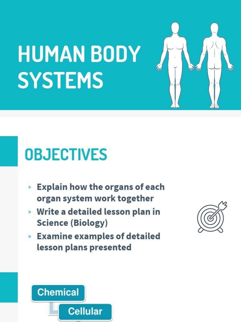Lesson 3 | PDF | Blood | Human Body