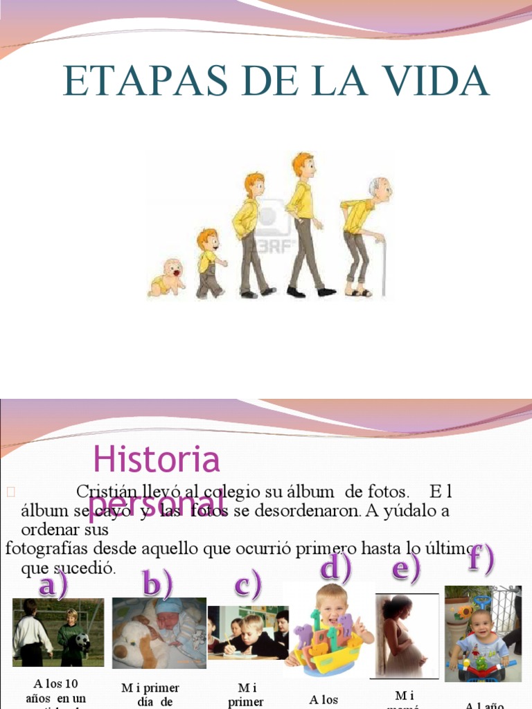 Etapas de La Vida | PDF | Artes del Lenguaje y Comunicación
