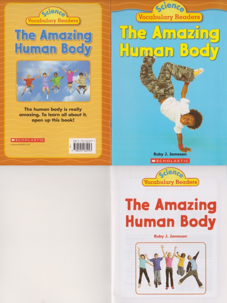 The Amazing Human Body | PDF