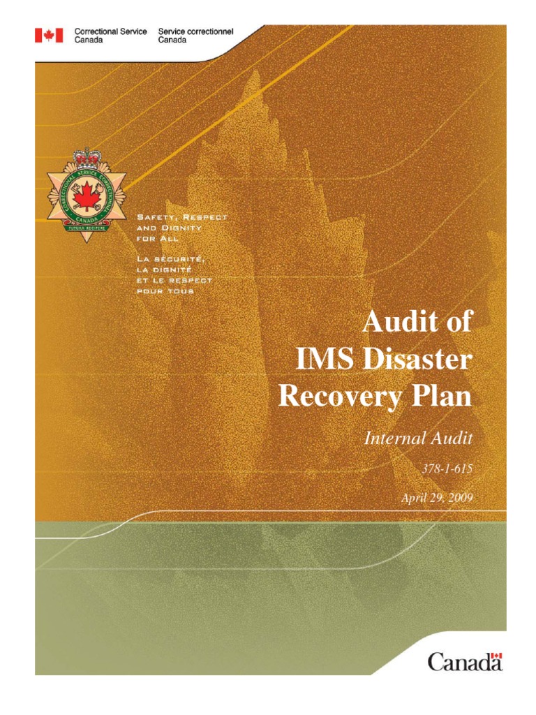 Disaster Recovery Audit | PDF | Backup | Disaster Recovery
