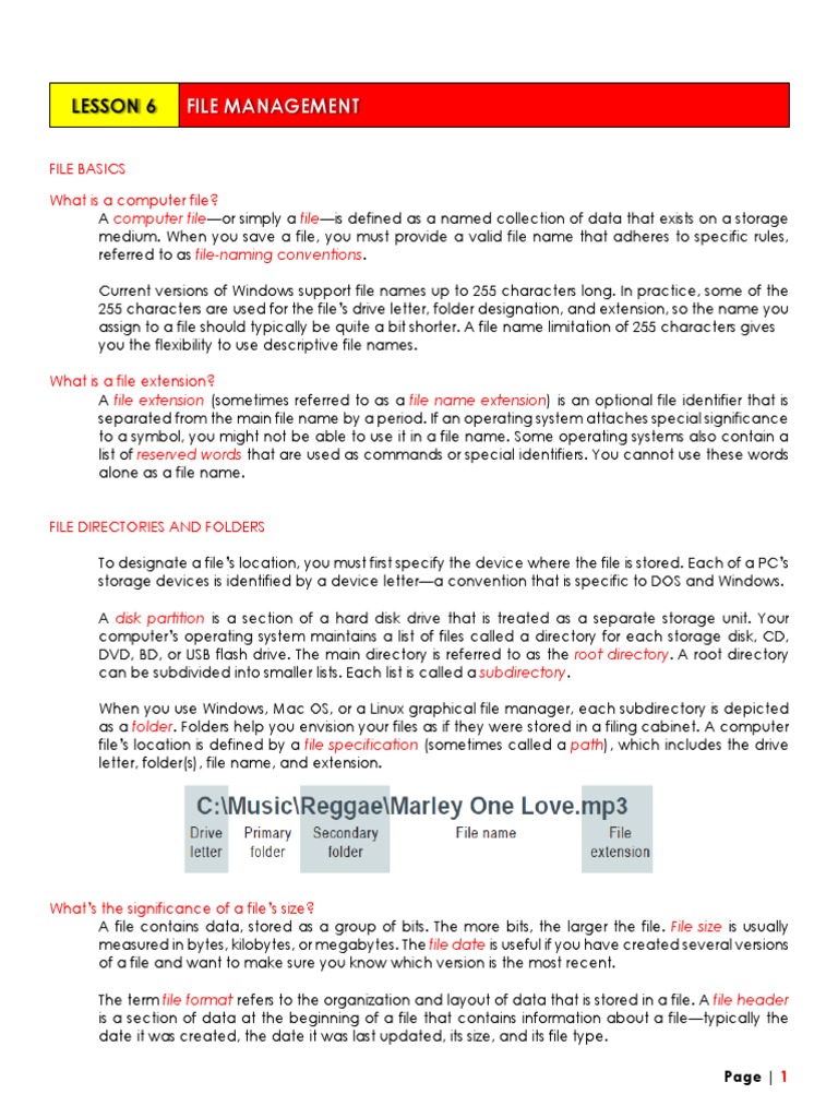 File Management: Lesson 6 | PDF | Computer File | File System