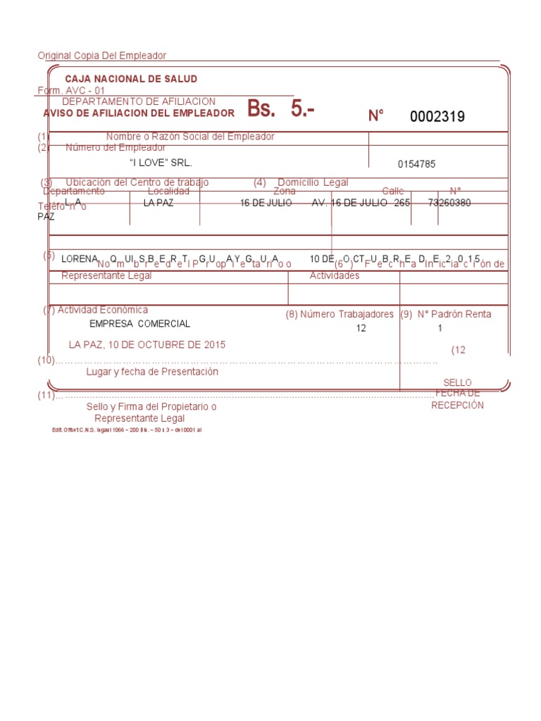 Formulario-Avc-01 - CNS | PDF