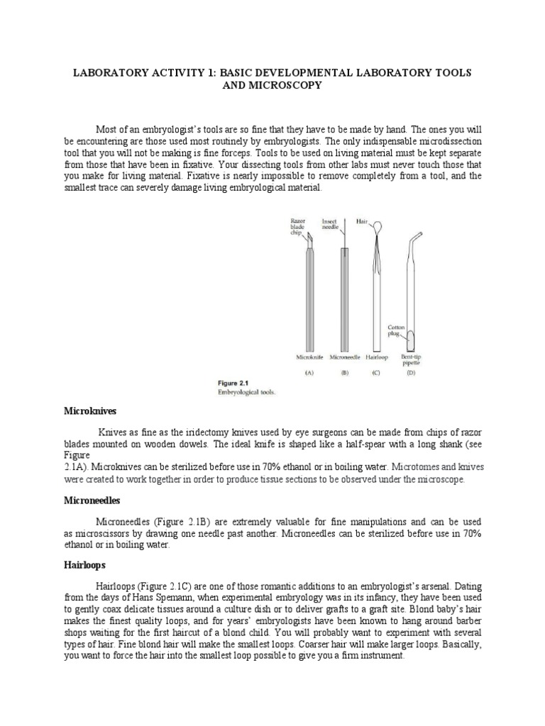 BIO 190 - Lab Activity 1 BASIC LAB TOOLS AND MICROS | PDF | Microscope ...