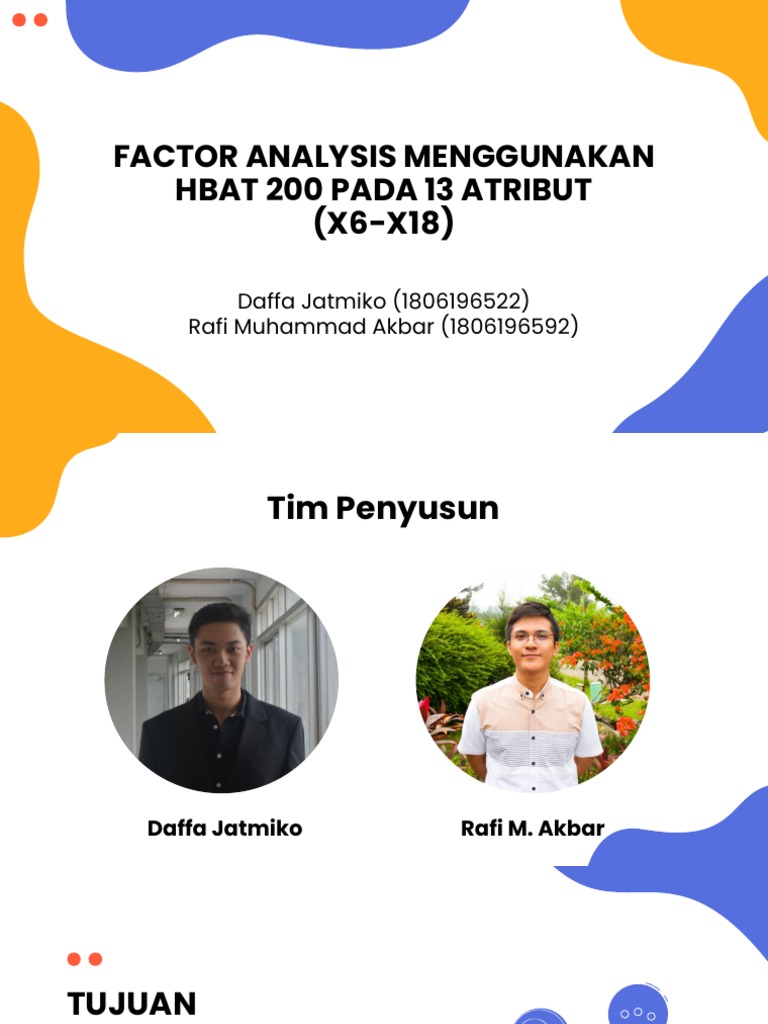 Daffa Jatmiko - Rafi Muhammad Akbar - Factor Analysis Assignment | PDF