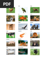 Ejemplos de sustantivos patronímicos | PDF | Estudios de idiomas ...