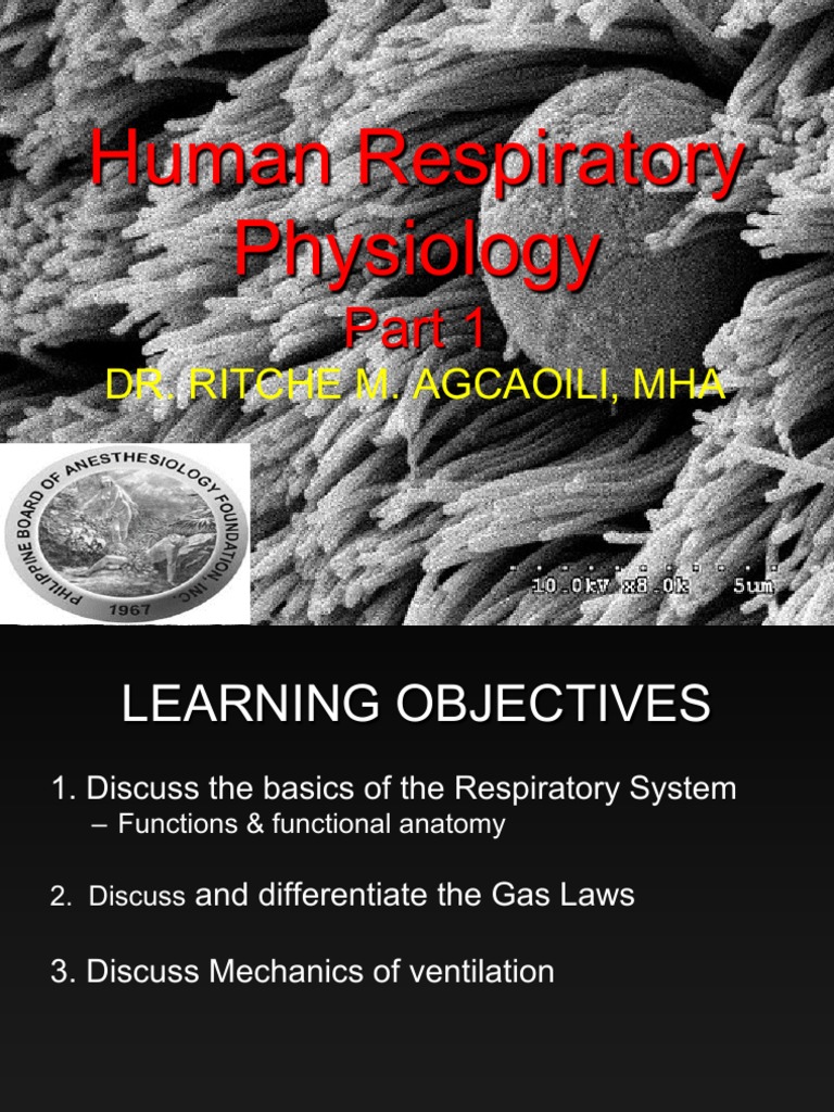Respiratory Physiology Part 1, Revised 2020 | PDF | Respiratory Tract ...