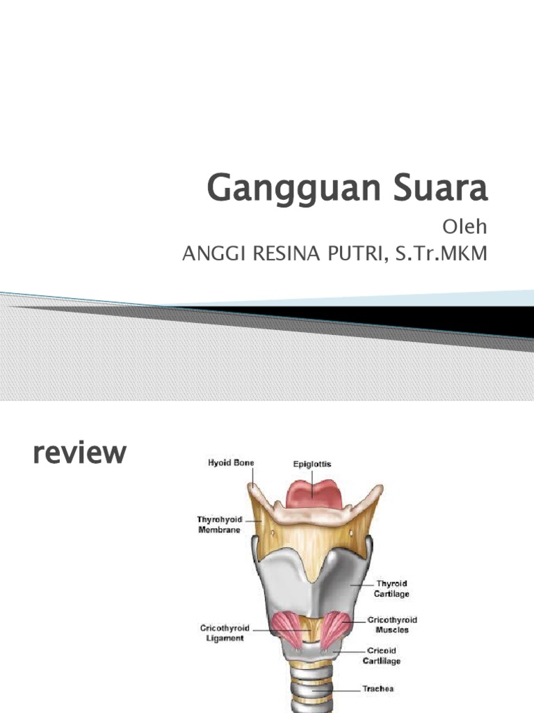 Suara, Gangguan Dan Terapi Suara | PDF