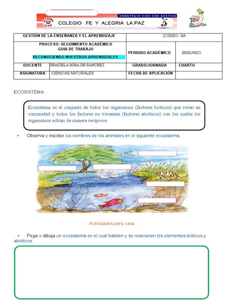 Repaso Ecosistema y Cadena Alimenticia | PDF