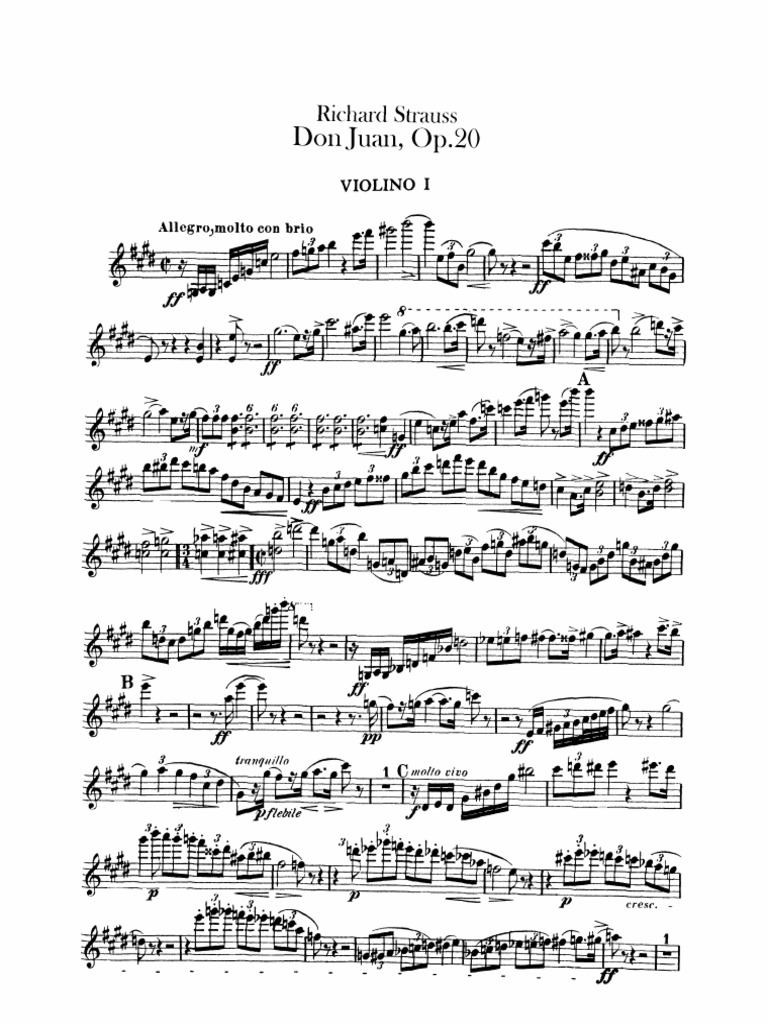 Violin - Strauss Don Juan | PDF