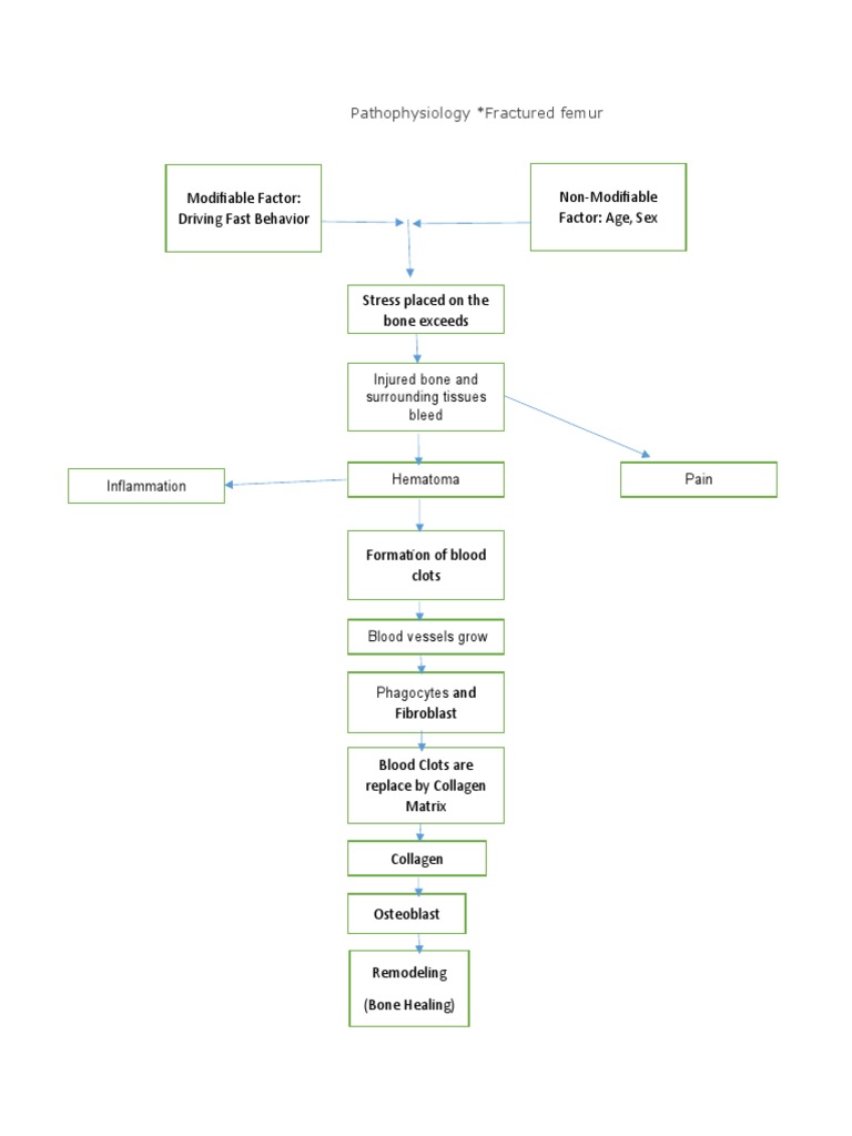 Bone Fracture Pathophysiology | PDF