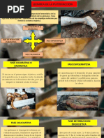 Conservación de Cadáveres y Técnicas | PDF | Descomposición | Cadáver
