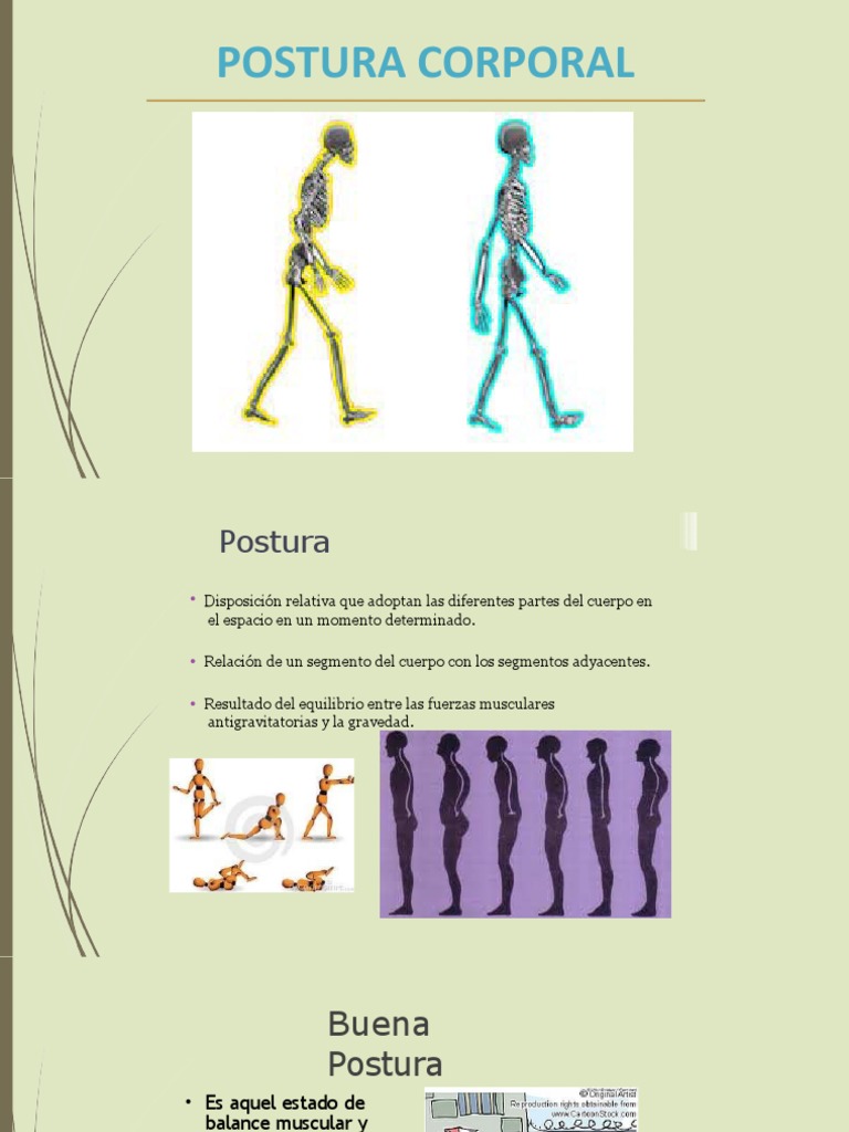 Postura y Defectos Posturales | PDF | La columna vertebral | Vértebra