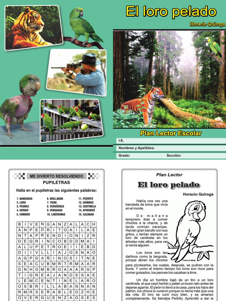 Plan Lector-El Loro Pelado | PDF