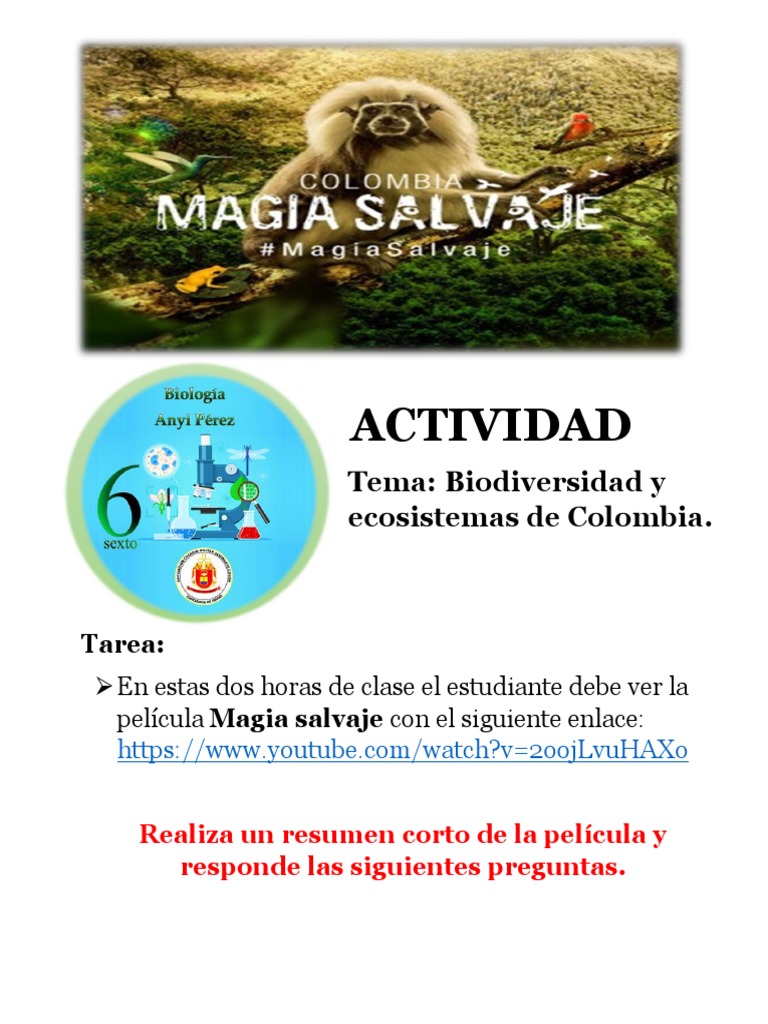 Actividades sobre la biodiversidad en Colombia | PDF | Estudios de ...