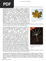 Base Foliar y Estípulas 2 2 | PDF | Hoja | Morfología Vegetal