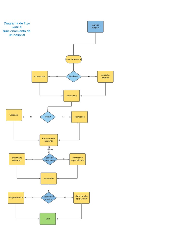 Diagrama De Flujo Hospitalario Vertical Pdf