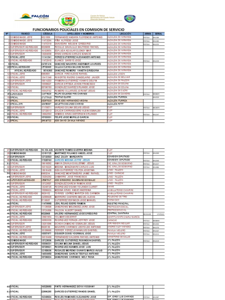 Comisiones de Servicio - Enero - 2020 | PDF