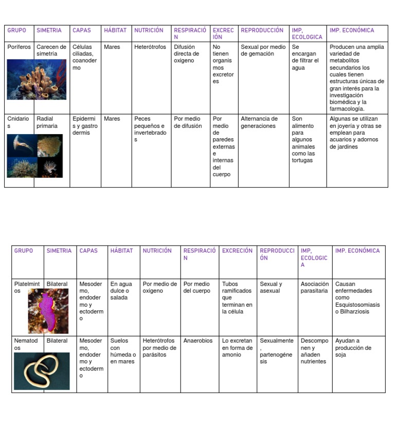 Biologia Tabla | PDF | Biología | Organismos