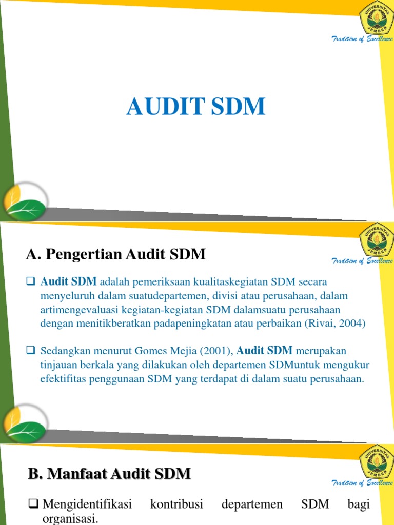 Audit SDM untuk Karyawan PLN | PDF | Pengembangan Diri