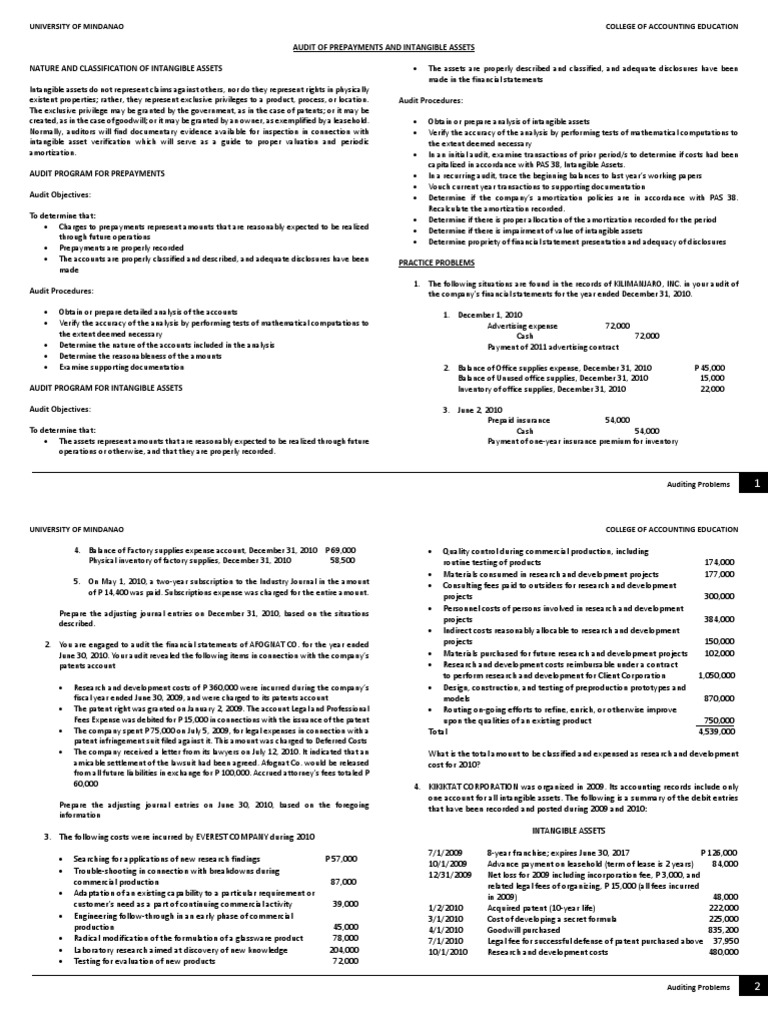 Audit of Prepayments and Intangible Assets | PDF | Audit | Intangible Asset