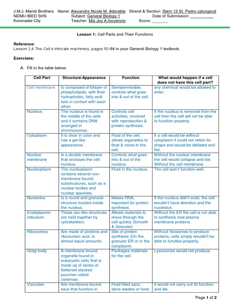 Cell Parts and Their Functions | PDF | Cell (Biology) | Endoplasmic ...