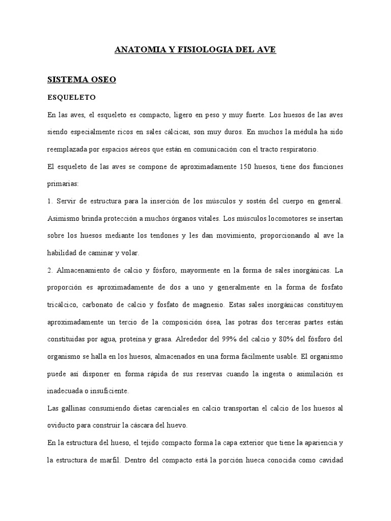 Anatomia de Las Aves | PDF | Pulmón | Vértebra