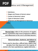 Who Labour Care Guide | PDF | Childbirth | Causes Of Death