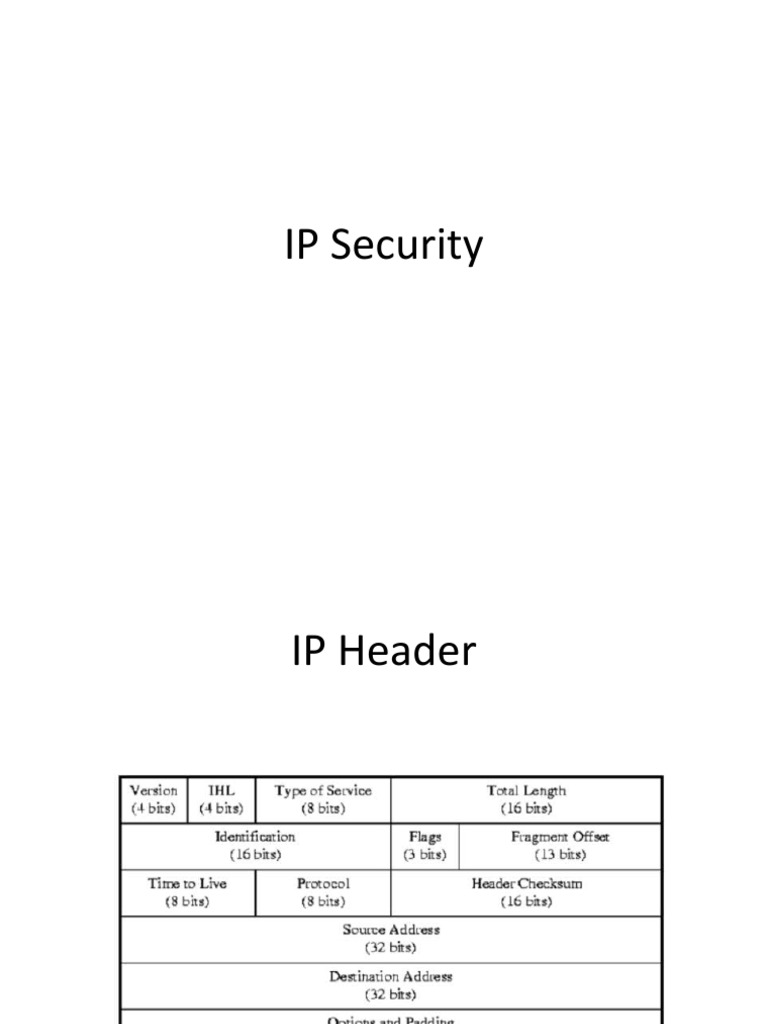 IP Security | PDF | Internet Protocols | Communication