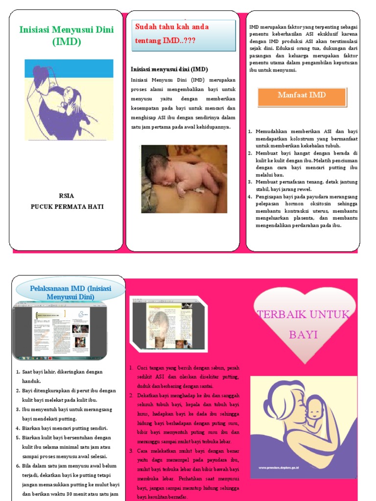 Leaflet Imd | PDF | Pengembangan Diri | Kesehatan Holistik