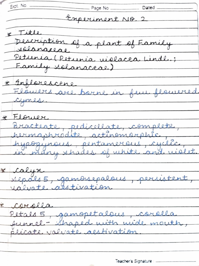 Experiment On Petunia Flower | PDF