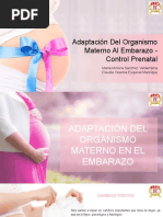 Control Prenatal Resolucion 3280 | PDF | El embarazo | Aborto