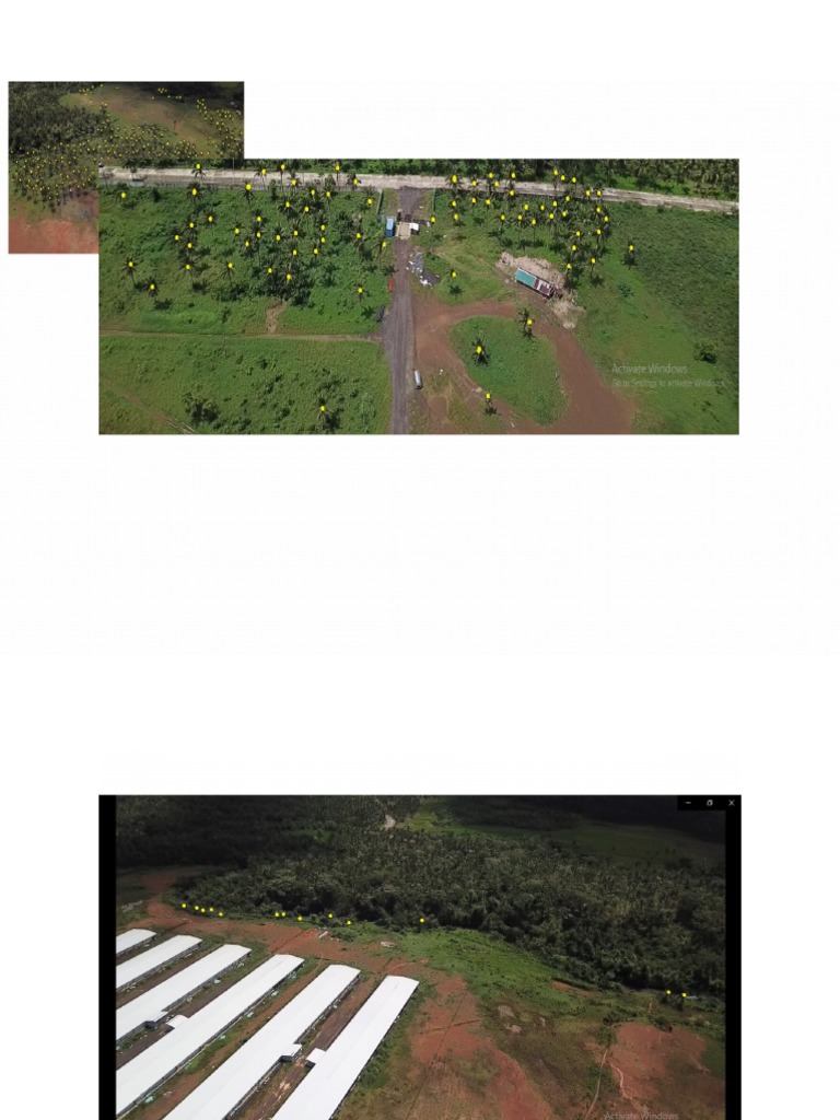 Total Counting of Coconut Trees | PDF