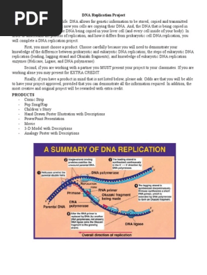 Dna Replication Model Project