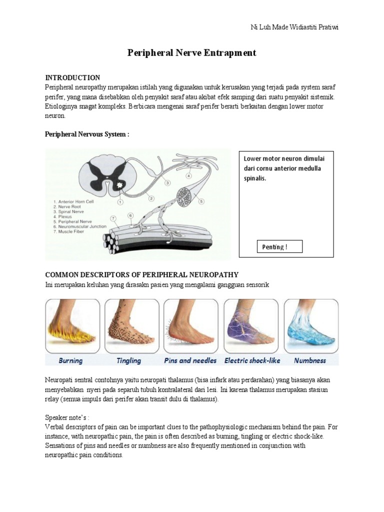 Peripheral Nerve Entrapment | PDF