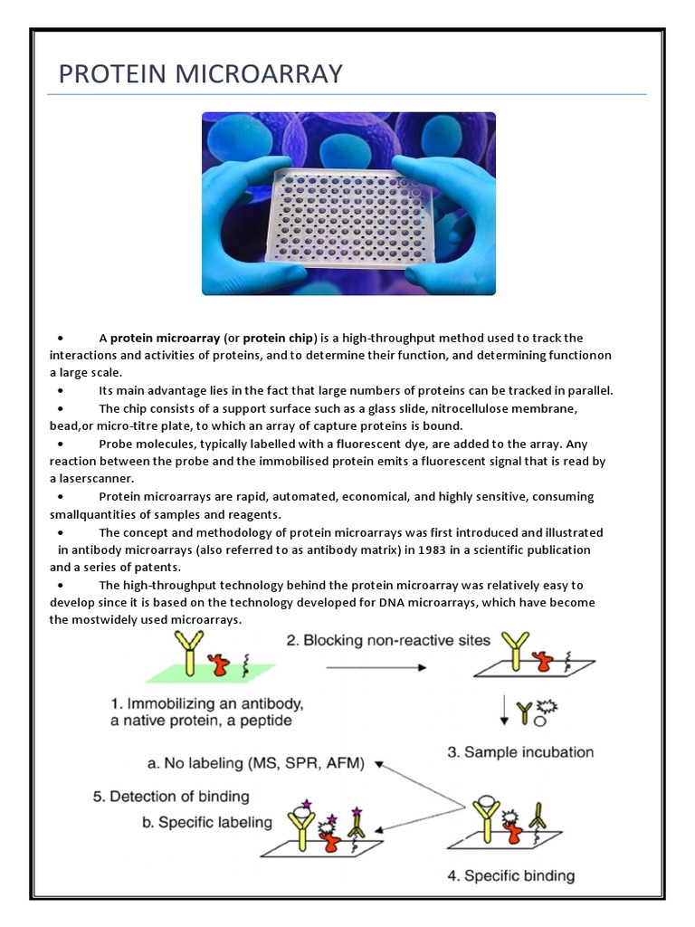 Protein Microarray | PDF | Dna Microarray | Bioinformatics
