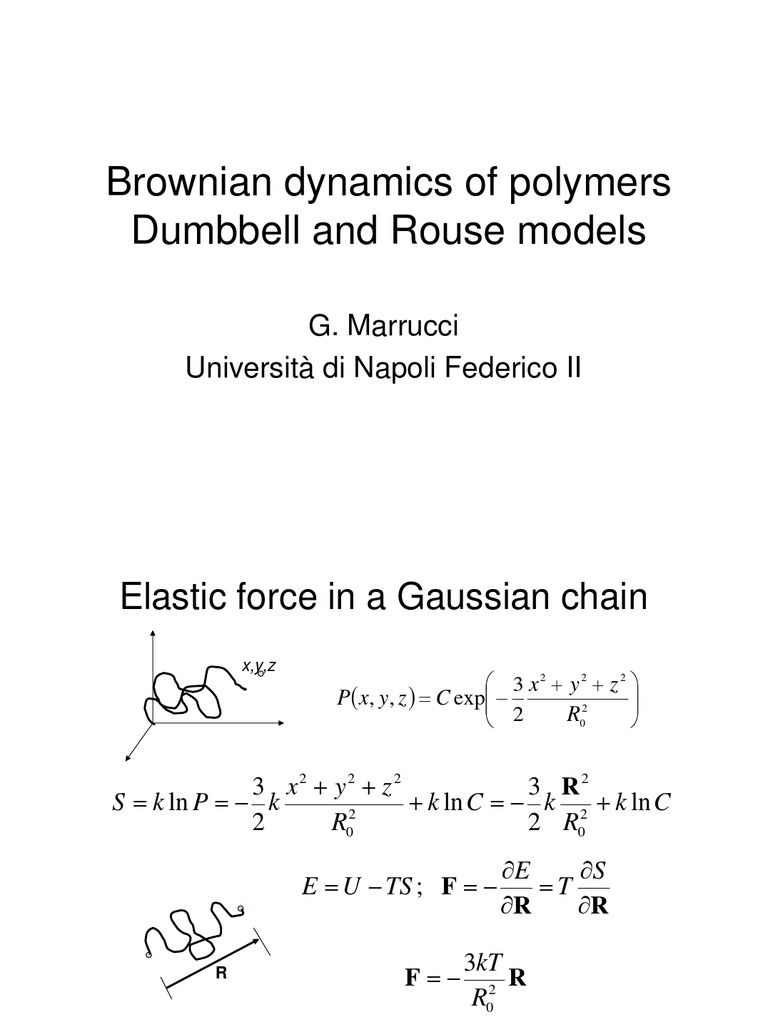 Brownian Dynamics in Polymer Models | PDF | Diffusion | Force