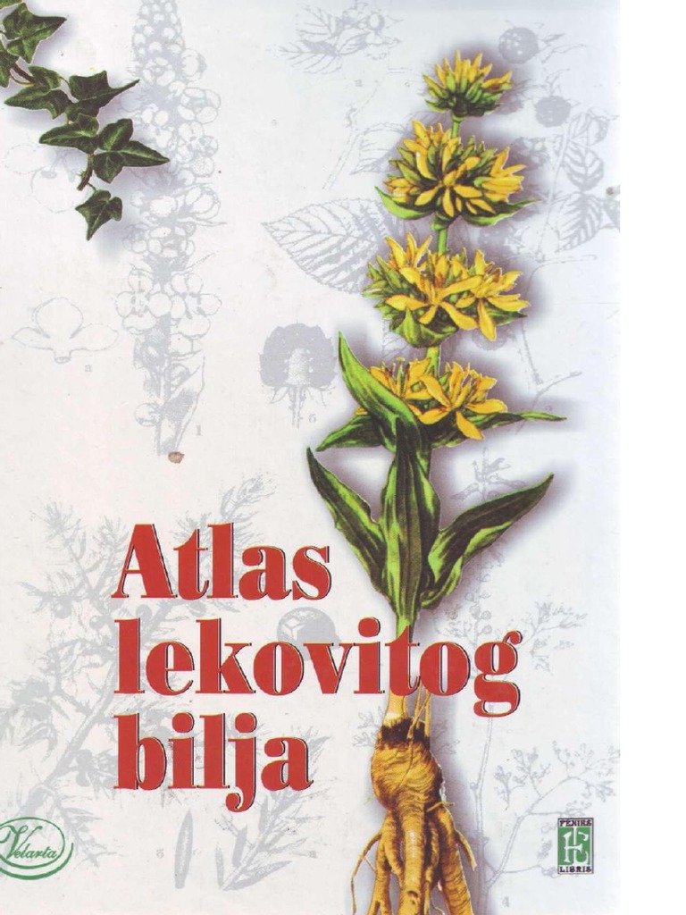 Vebuka 235569637 Atlas Ljekovitog Bilja | PDF