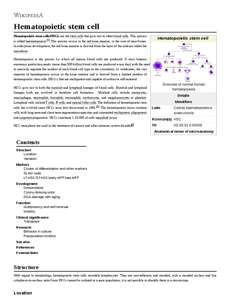 Hematopoietic Stem Cell Pdf Hematopoietic Stem Cell Haematopoiesis