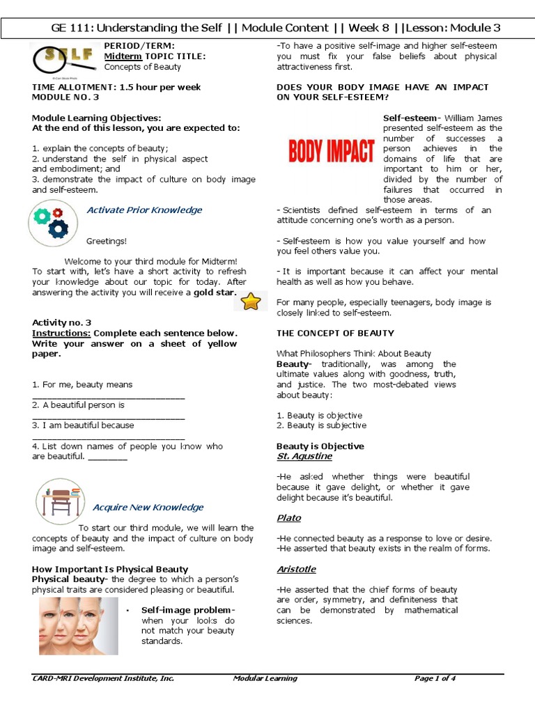 GE 111: Understanding The Self - Module Content - Week 8 - Lesson: Module 3 | PDF | Beauty ...