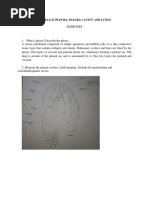 Equine Lymph Nodes Anatomy VCA 400 Assignment | PDF | Aorta | Thorax